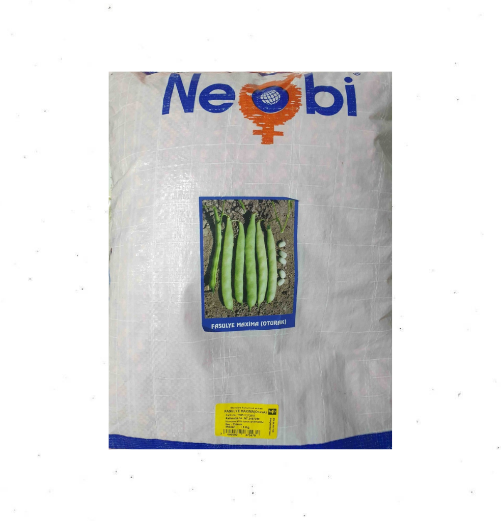 Neobi Maxima Cina Oturak Taze Fasülye Tohumu 2 kg - Dört Mevsim Tarım